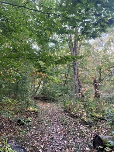 Best Hikes and Trails in Manhan River Conservation Area | AllTrails