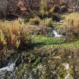 Cascade Springs Interpretive Trail, Utah - 477 Reviews, Map | AllTrails