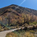 Cascade Springs Interpretive Trail, Utah - 477 Reviews, Map | AllTrails