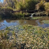 Cascade Springs Interpretive Trail, Utah - 477 Reviews, Map | AllTrails