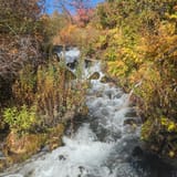 Cascade Springs Interpretive Trail, Utah - 477 Reviews, Map | AllTrails