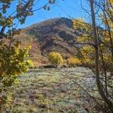 Cascade Springs Interpretive Trail, Utah - 477 Reviews, Map | AllTrails
