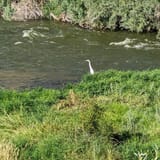Link River Trail, Oregon - 480 Reviews, Map | AllTrails