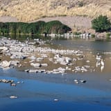 Link River Trail, Oregon - 480 Reviews, Map | AllTrails