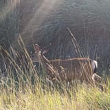 Link River Trail, Oregon - 480 Reviews, Map | AllTrails