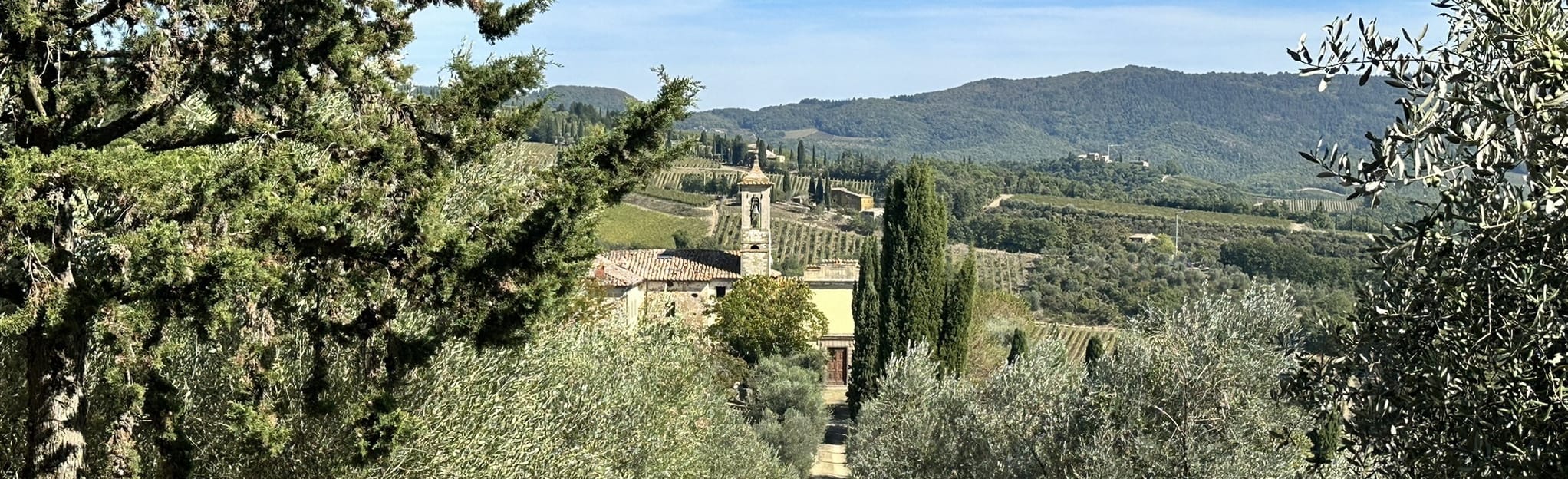 Volpaia - Castelvecchi: 19 foto's - Toscane, Italië | Wandelen - AllTrails