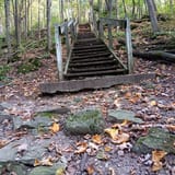 Lost '40' Trail, Minnesota - 182 Reviews, Map | AllTrails