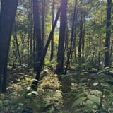 Jarrard Gap, Slaughter Creek, and Appalachian Trail Loop, Georgia - 434 ...
