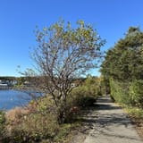 Marginal Way, Maine - 1,493 Reviews, Map | AllTrails