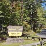 Roaring Run Hoop Hole Trail, Virginia - 719 Reviews, Map | AllTrails