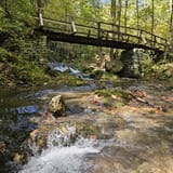 Roaring Run Hoop Hole Trail, Virginia - 724 Reviews, Map | AllTrails