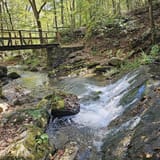 Roaring Run Hoop Hole Trail, Virginia - 724 Reviews, Map | AllTrails