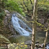 Roaring Run Hoop Hole Trail, Virginia - 724 Reviews, Map | AllTrails