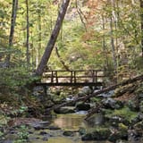 Roaring Run Hoop Hole Trail, Virginia - 724 Reviews, Map | AllTrails