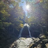Roaring Run Hoop Hole Trail, Virginia - 724 Reviews, Map | AllTrails
