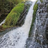 Roaring Run Hoop Hole Trail, Virginia - 724 Reviews, Map | AllTrails