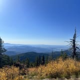 Mount Kit Carson Trail, Washington - 947 Reviews, Map | AllTrails