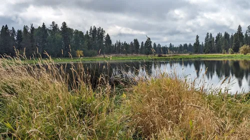 Best Hikes and Trails in James T. Slavin Conservation Area | AllTrails