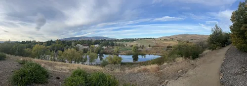 Best Hikes and Trails in Rancho San Rafael Regional Park | AllTrails