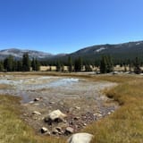 Soda Springs and Parsons Lodge Trail, California - 593 Reviews, Map ...