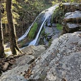 Roaring Run Hoop Hole Trail, Virginia - 724 Reviews, Map | AllTrails