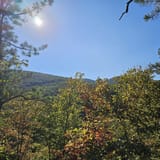 Roaring Run Hoop Hole Trail, Virginia - 763 Reviews, Map | AllTrails