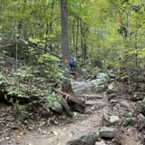 Cedar Falls Trail, Arkansas - 1,760 Reviews, Map | AllTrails