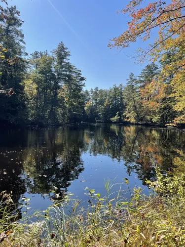 Best Hikes and Trails in Limington, Hollis, Waterboro Sanctuary | AllTrails