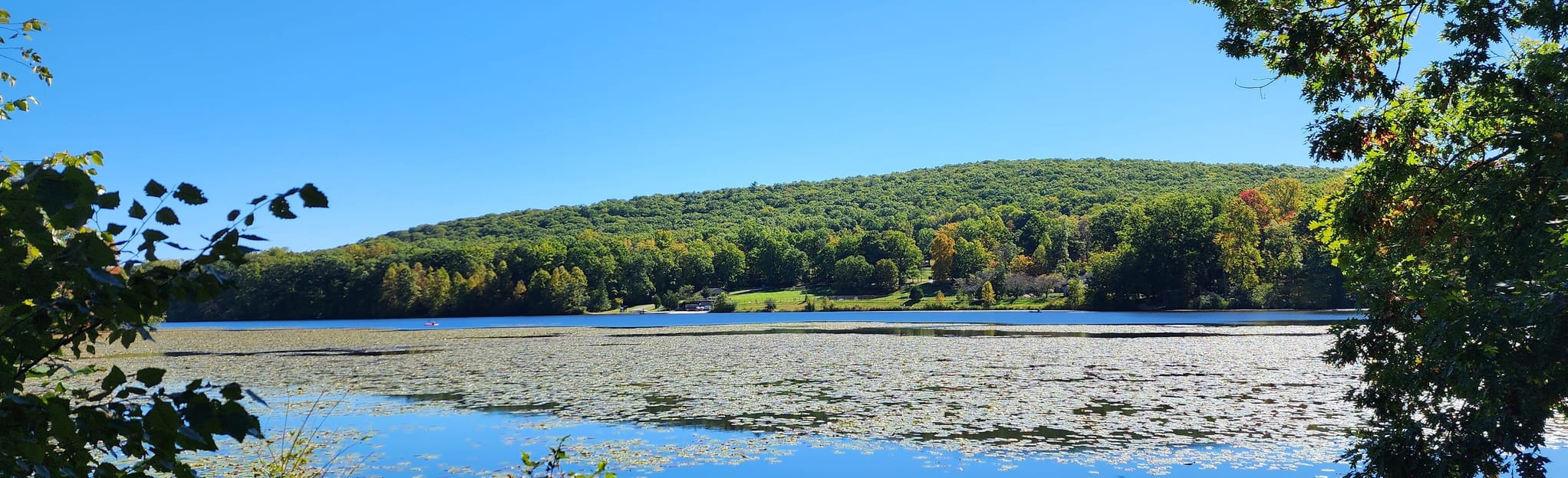 Hopewell Lake Loop, Pennsylvania - 968 Reviews, Map | AllTrails