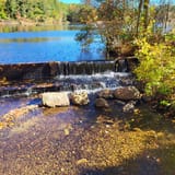 Leach Pond Trail, Massachusetts - 2,258 Reviews, Map | AllTrails