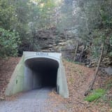 Redbank Valley Trail, Pennsylvania - 161 Reviews, Map | AllTrails