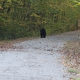 Redbank Valley Trail, Pennsylvania - 161 Reviews, Map | AllTrails