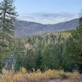 Swauk Forest Discovery Trail, Washington - 392 Reviews, Map | AllTrails