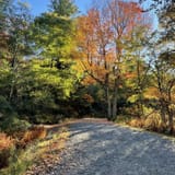 Sam's Point Overlook to Ice Cave Trail, New York - 1,088 Reviews, Map ...