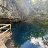 Blue Spring Trail, Missouri - 229 Reviews, Map | AllTrails