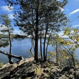 Niquette Bay State Park, Vermont - 847 Reviews, Map | AllTrails
