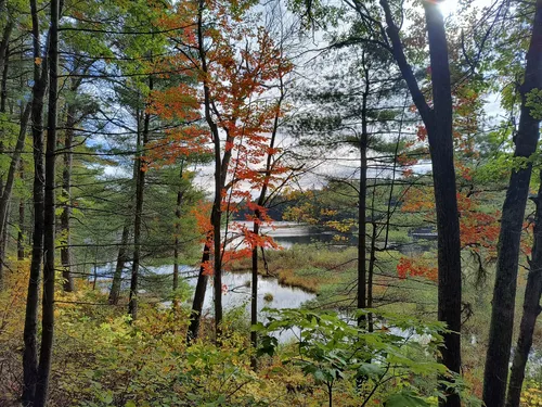 Best Hikes and Trails in Macomb Reservation State Park | AllTrails