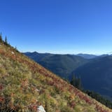 Bandera Mountain Summit, Washington - 1,445 Reviews, Map | AllTrails