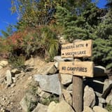 Bandera Mountain Summit, Washington - 1,445 Reviews, Map | AllTrails