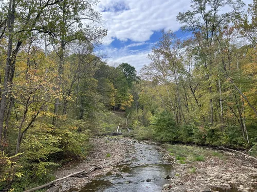 10 Best Trails and Hikes in Peninsula | AllTrails