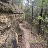 Cross Timbers Hiking Trail, Texas - 1,327 Reviews, Map | AllTrails