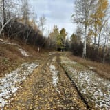 Bachelor Gulch Trail, Colorado - 191 Reviews, Map | AllTrails