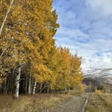 Bachelor Gulch Trail, Colorado - 191 Reviews, Map | AllTrails