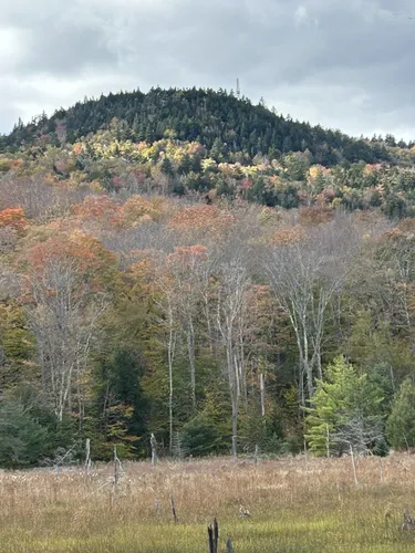 Best Hikes and Trails in Clemons | AllTrails