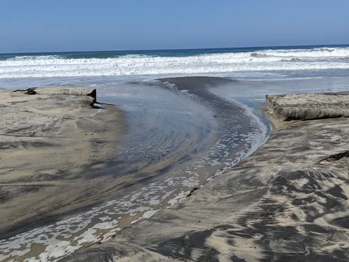 Best Hikes and Trails in Cardiff State Beach | AllTrails