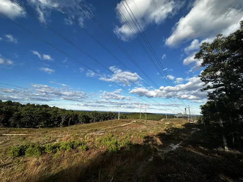 Best 10 Hiking Trails in Shawme-Crowell State Forest | AllTrails