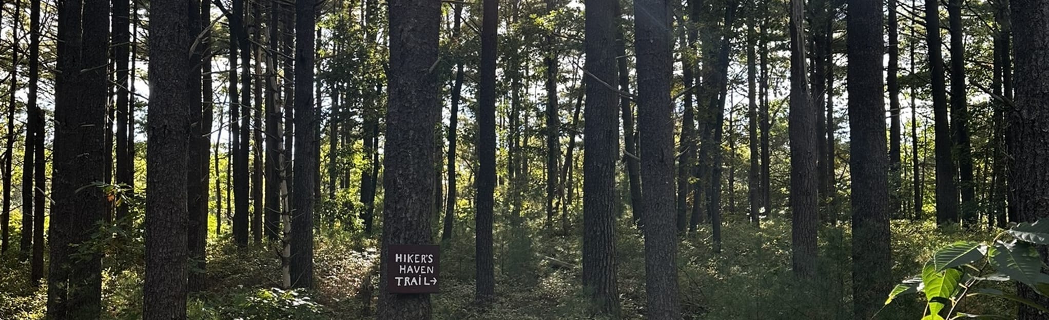 Heritage Plantation, Sherri's Berries, Racoon Den, Coyote Den Loop ...