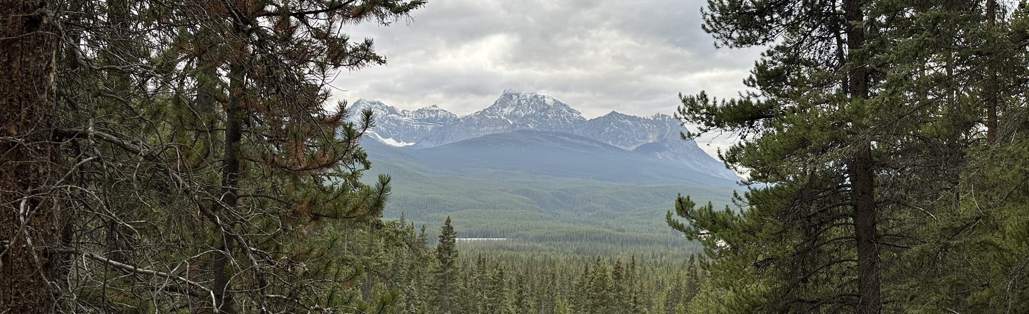 Silverton Falls, Alberta, Canada - 1,093 Reviews, Map | AllTrails