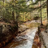 Basin Cascade Trail, New Hampshire - 1,331 Reviews, Map | AllTrails