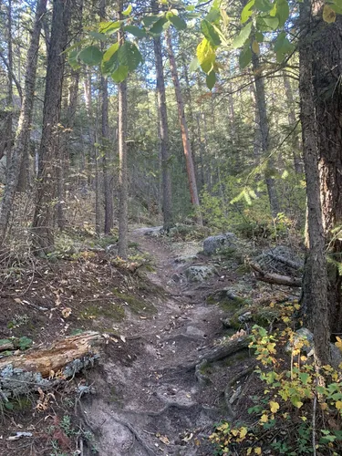 Best Hikes and Trails in Pinewood Springs | AllTrails